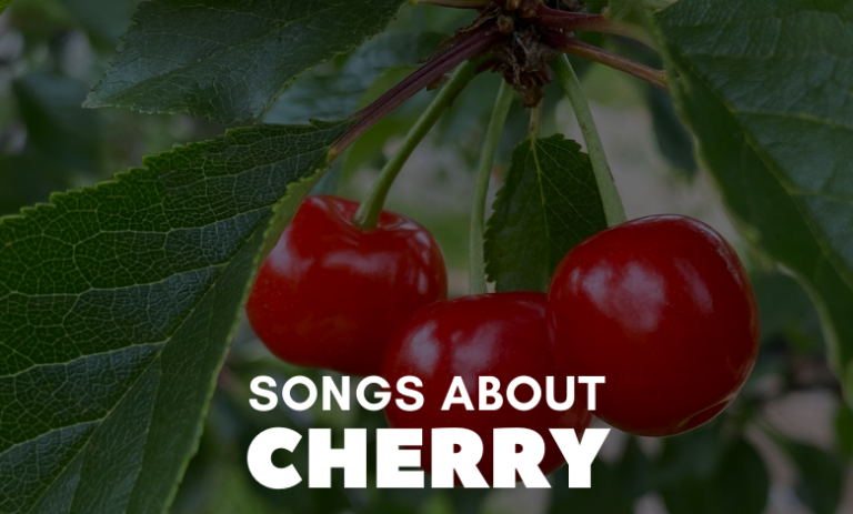 Songs About Cherry